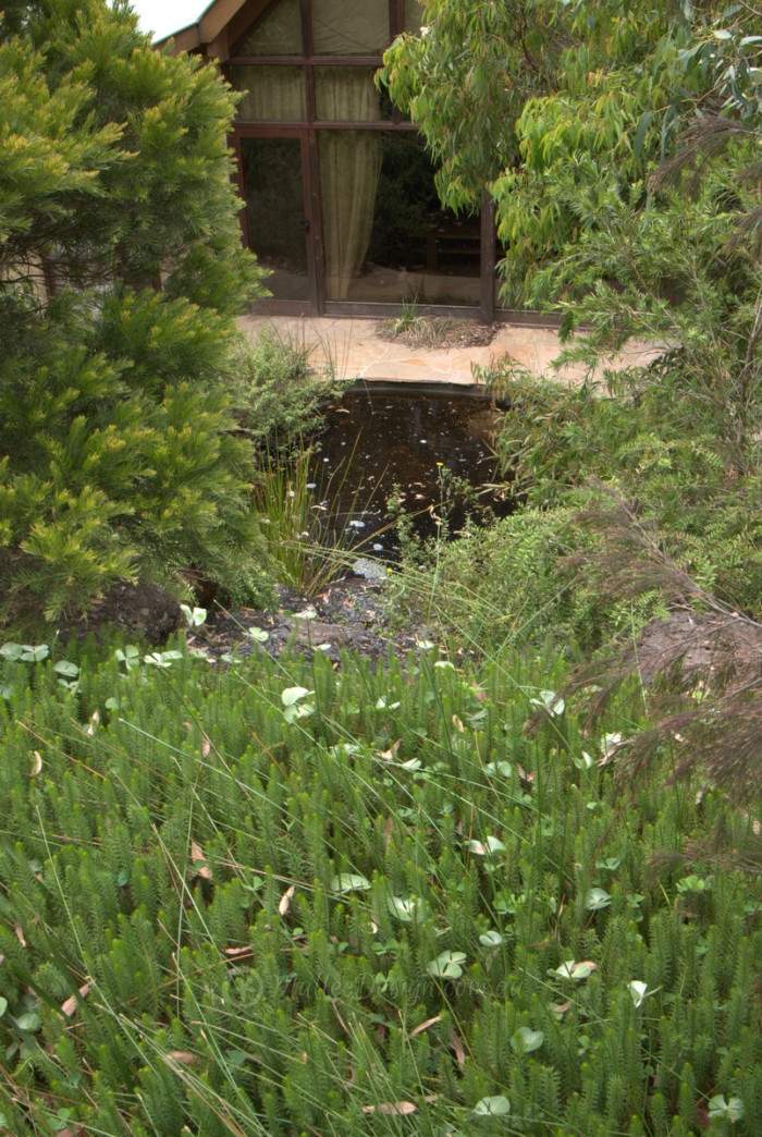 Wattle Glen: Sam Cox Landscape – Mallee Design
