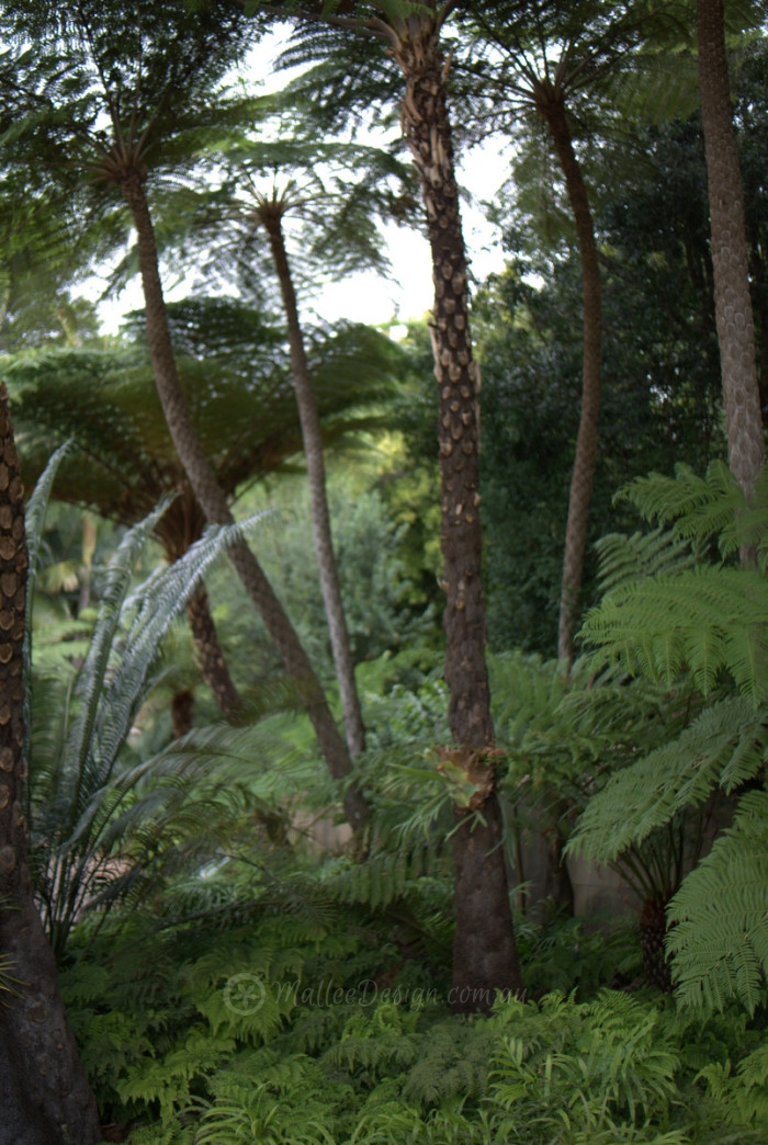 4 Reliable Shadies – Mallee Design