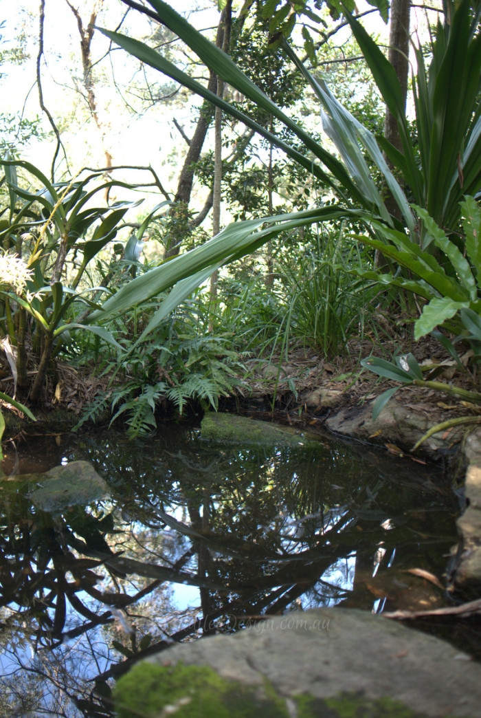 Water Garden Planting – Mallee Design