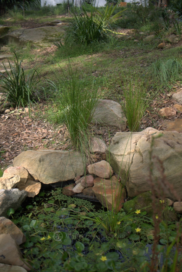 Water Garden Planting – Mallee Design