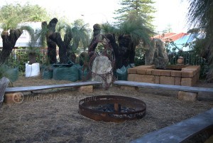 Grass Trees of Fremantle – Mallee Design