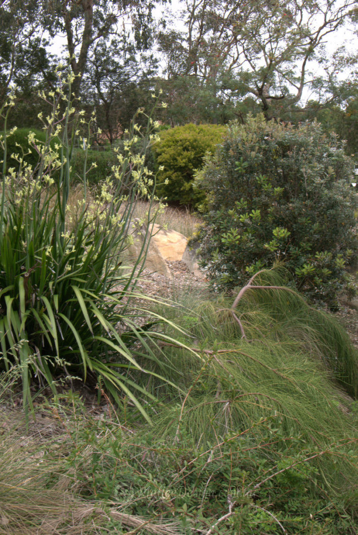 Portfolio: Bundeena Garden Design Revisit – Mallee Design