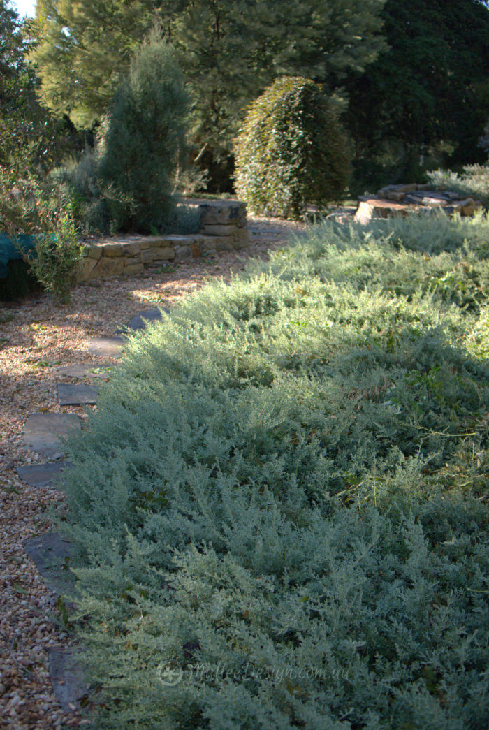 The ‘New’ formal Native Garden – Mallee Design