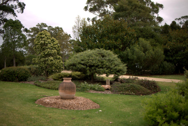 The ‘New’ formal Native Garden – Mallee Design