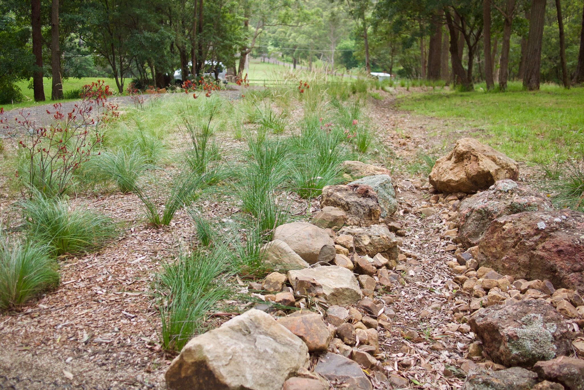 Portfolio: Jamberoo Consults – Mallee Design