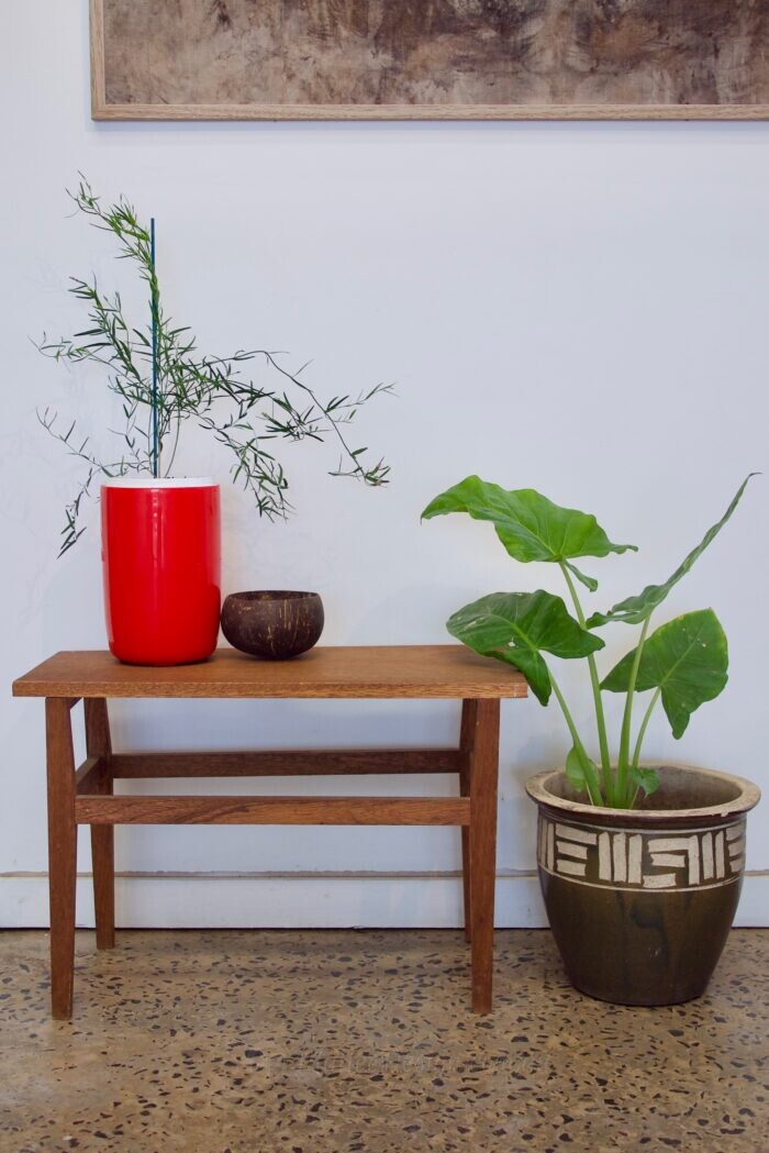 Growing Natives Indoors – Mallee Design